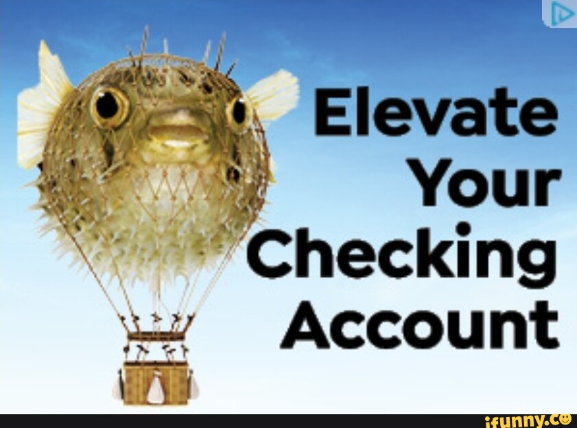 Elevate memes. Best Collection of funny Elevate pictures on iFunny