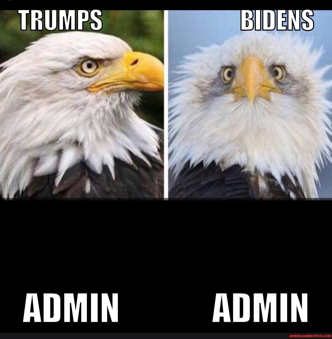 TRUMPS BIDENS ADMIN ADMIN - America’s best pics and videos