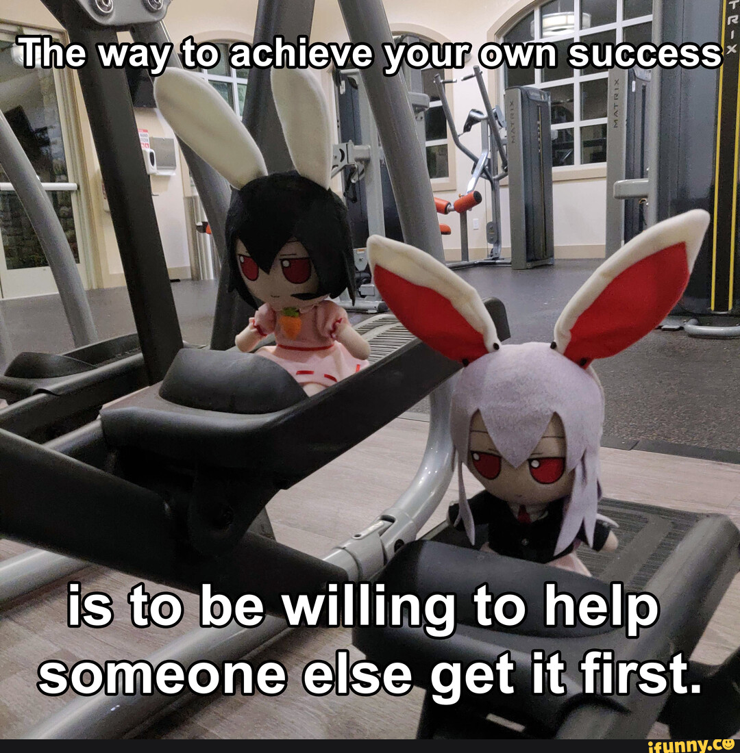 Success memes. Best Collection of funny Success pictures on iFunny