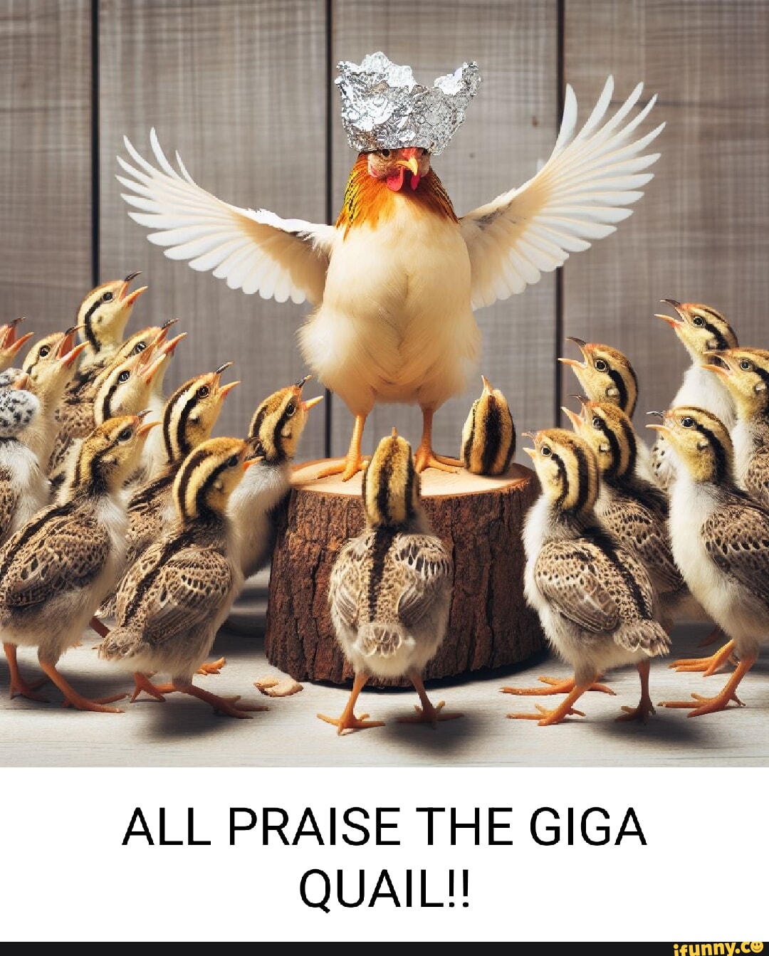 Quail memes. Best Collection of funny Quail pictures on iFunny