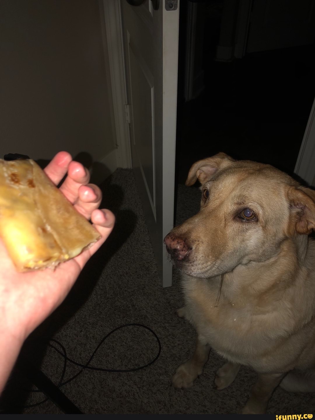 Fiending memes. Best Collection of funny Fiending pictures on iFunny