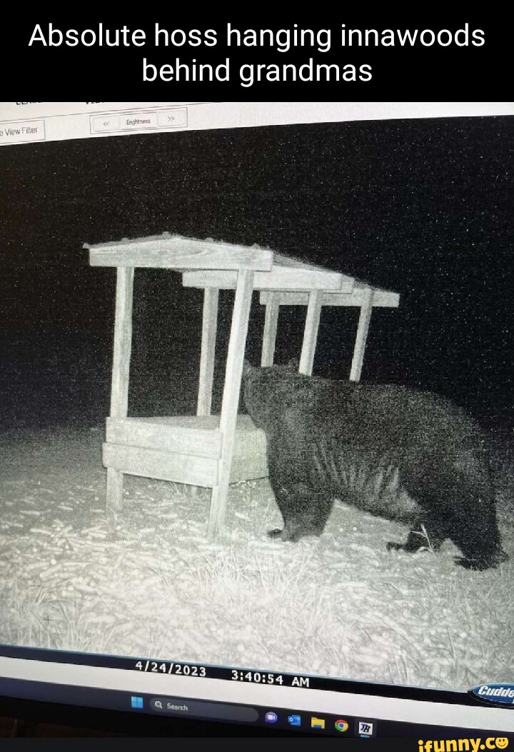 Absolute hoss hanging innawoods behind grandmas - iFunny