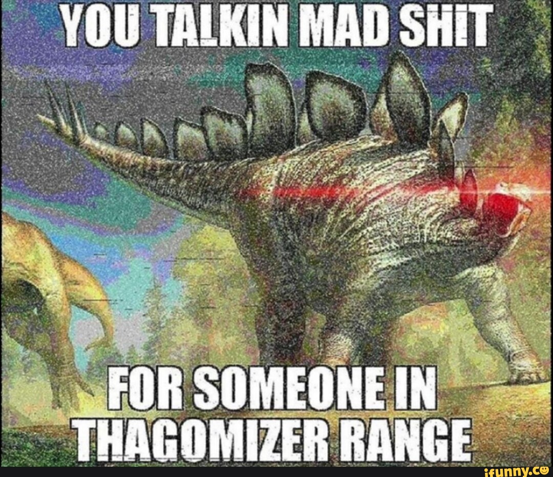 YOU TALKIN MAD SiT FOR SOMEONE IX THAGOMIZER RANGE - iFunny