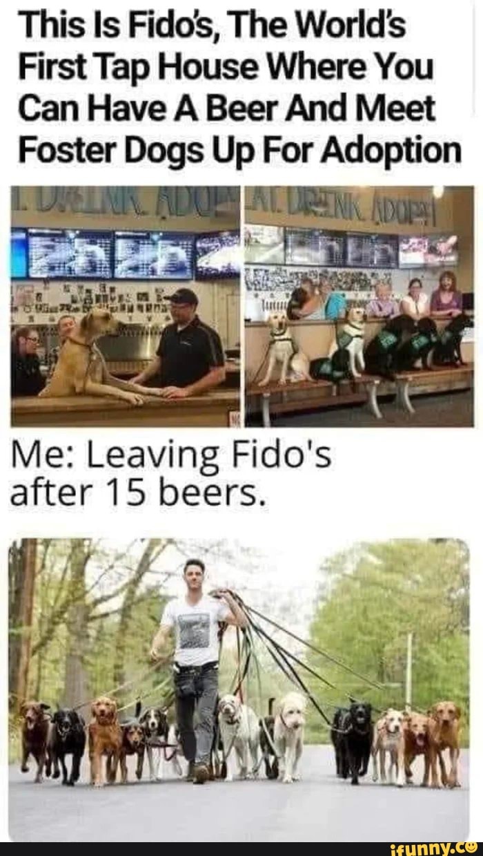 This Is Fido's, The World's First Tap House Where You Can Have A Beer ...