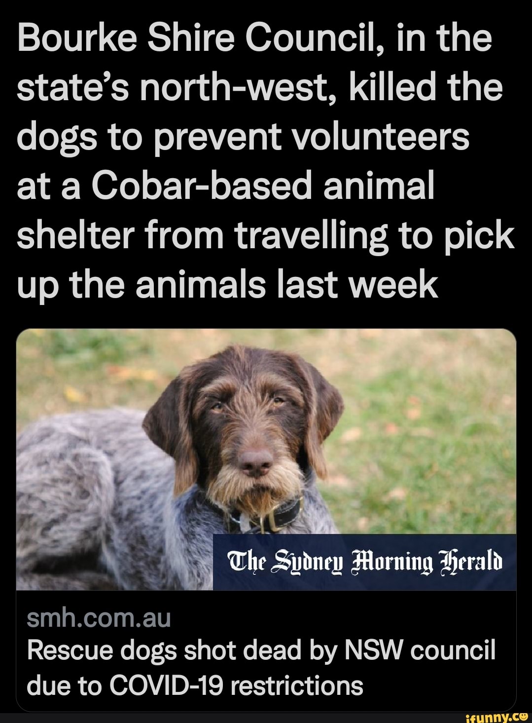 Cobar memes. Best Collection of funny Cobar pictures on iFunny