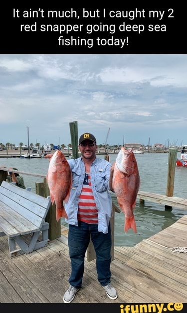 It ain't much, but I caught my 2 red snapper going deep sea fishing ...