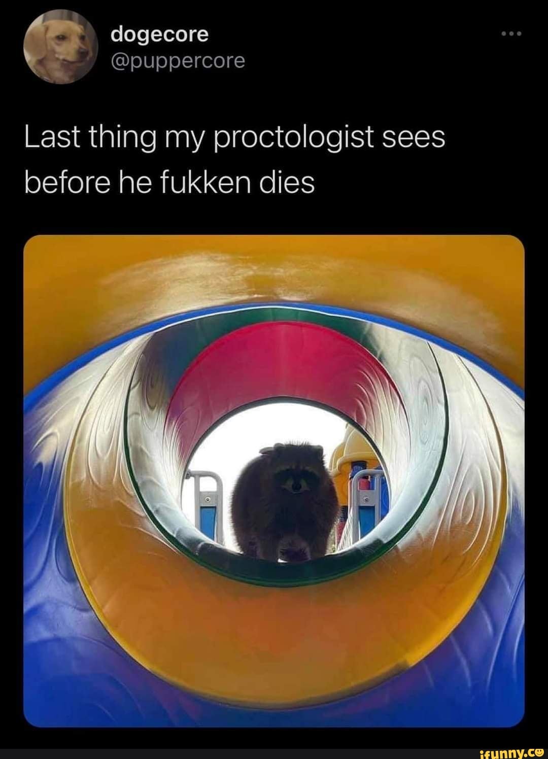 Dogecore memes. Best Collection of funny Dogecore pictures on iFunny