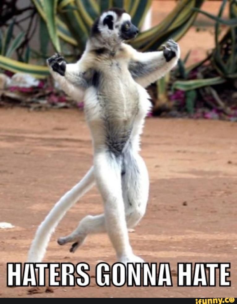 Funny Haters Gonna Hate Meme