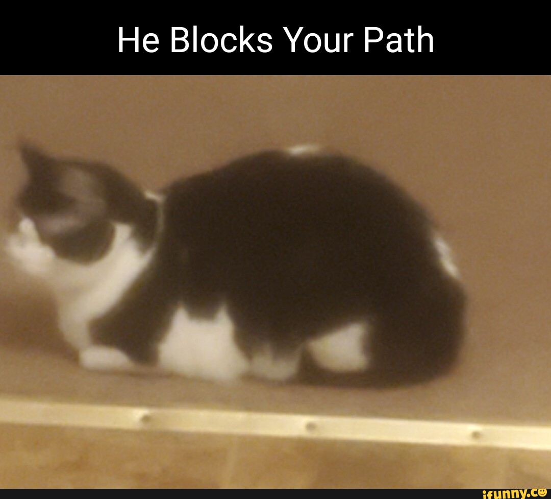 Path memes. Best Collection of funny Path pictures on iFunny