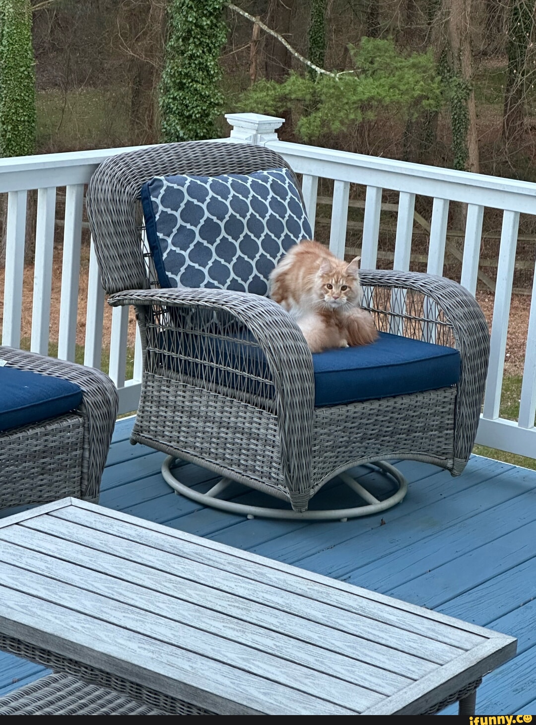 Cryptid memes. Best Collection of funny Cryptid pictures on iFunny