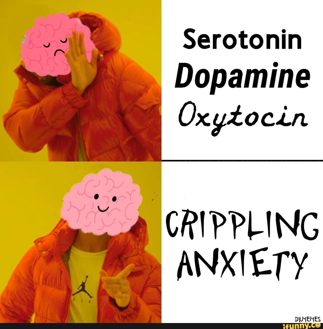 Serotonin Dopamine Oxytocin CRIPPLING ANXIETY DRMEMES - iFunny