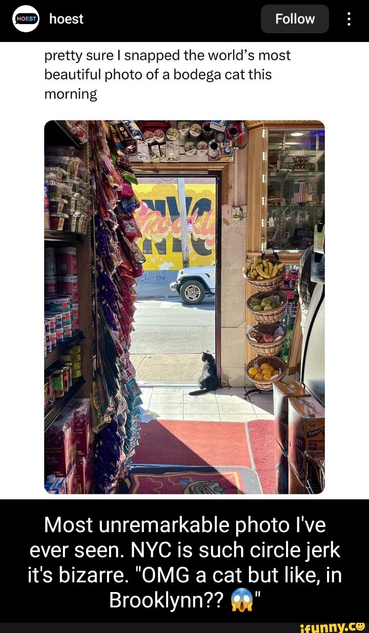 Unremarkable memes. Best Collection of funny Unremarkable pictures on ...