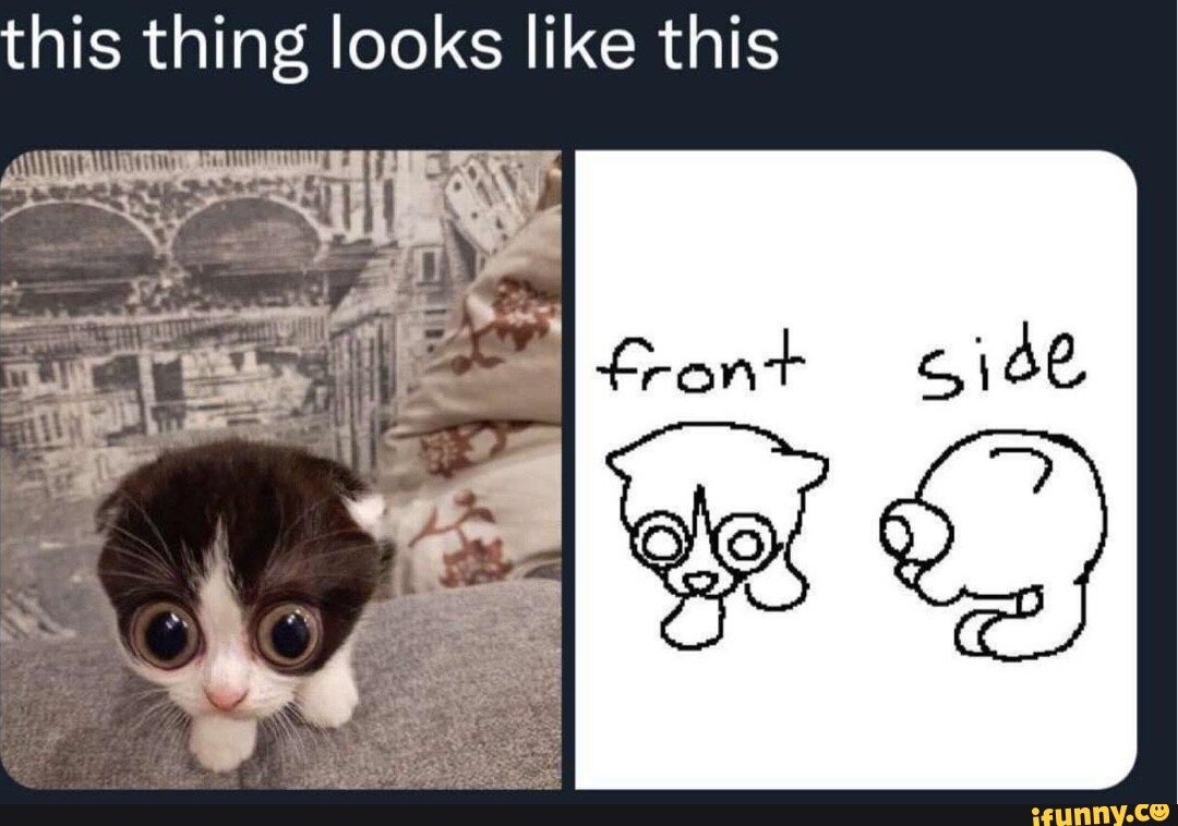 SHUT UP ANIME PROFILE PICTURE Your opinion doesnt matter - Your opinion ...