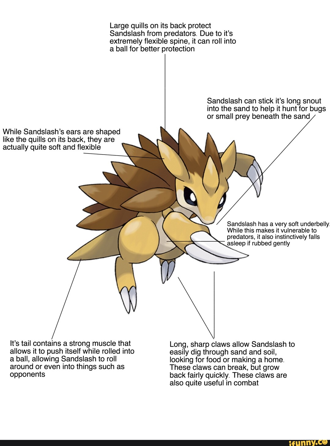 Sandslash memes. Best Collection of funny Sandslash pictures on iFunny