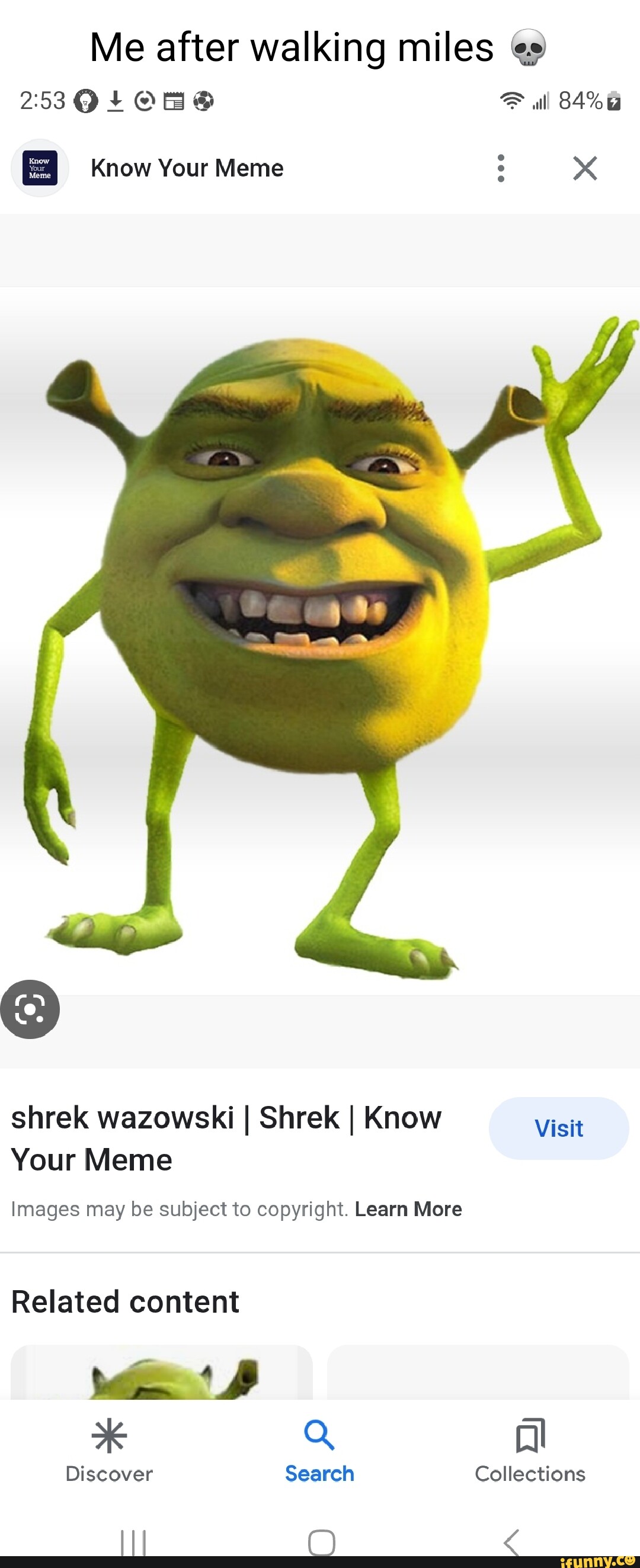 Me after walking miles Know Your Meme shrek wazowski I Shrek I Know ...