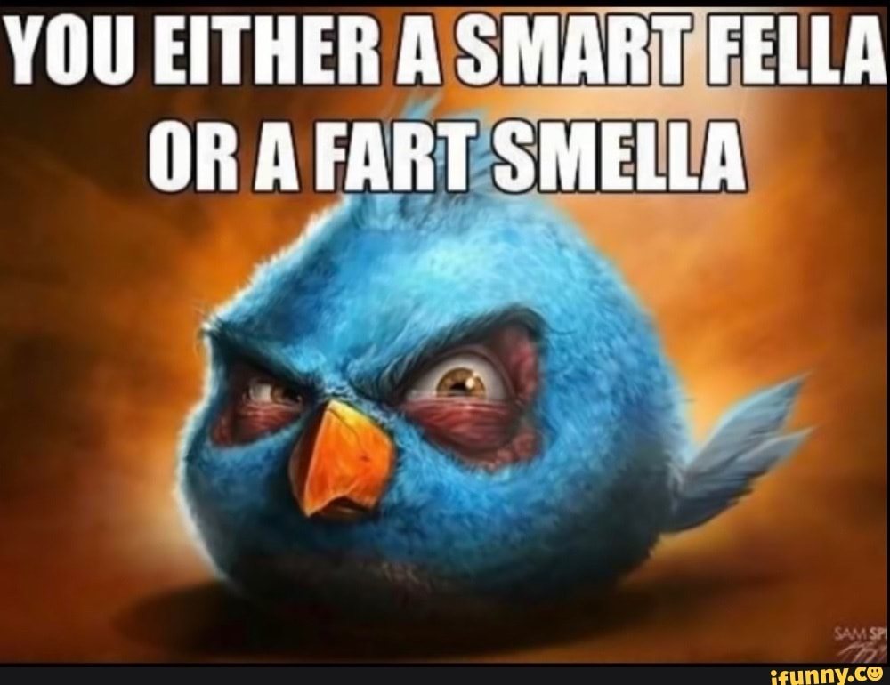 Angrybirdsmemes memes. Best Collection of funny Angrybirdsmemes ...