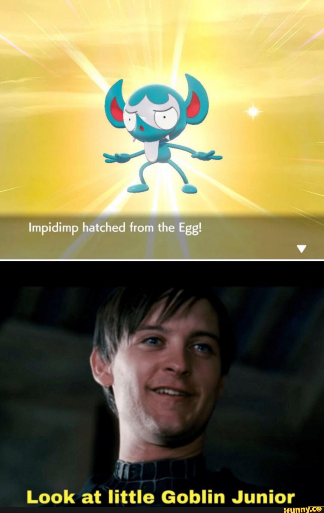 Impidimp memes. Best Collection of funny Impidimp pictures on iFunny