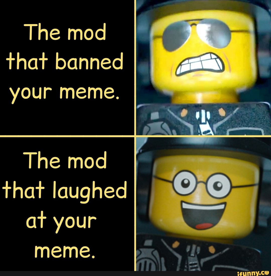 The mod that banned your meme. The mod that laughed at your meme. - iFunny