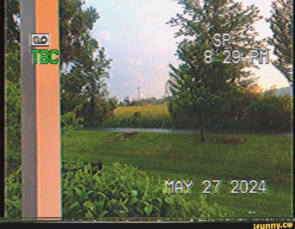 Vaporwave memes. Best Collection of funny Vaporwave pictures on iFunny