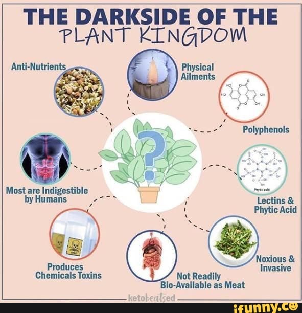 Polyphenols memes. Best Collection of funny Polyphenols pictures on iFunny