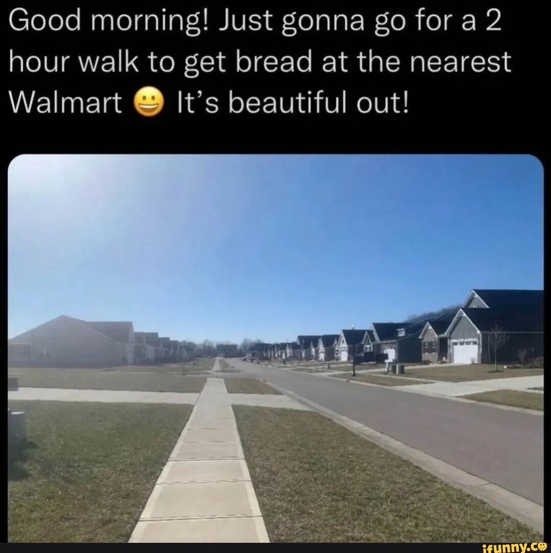 Good morning! Just gonna go for a 2 hour walk to get bread at the ...