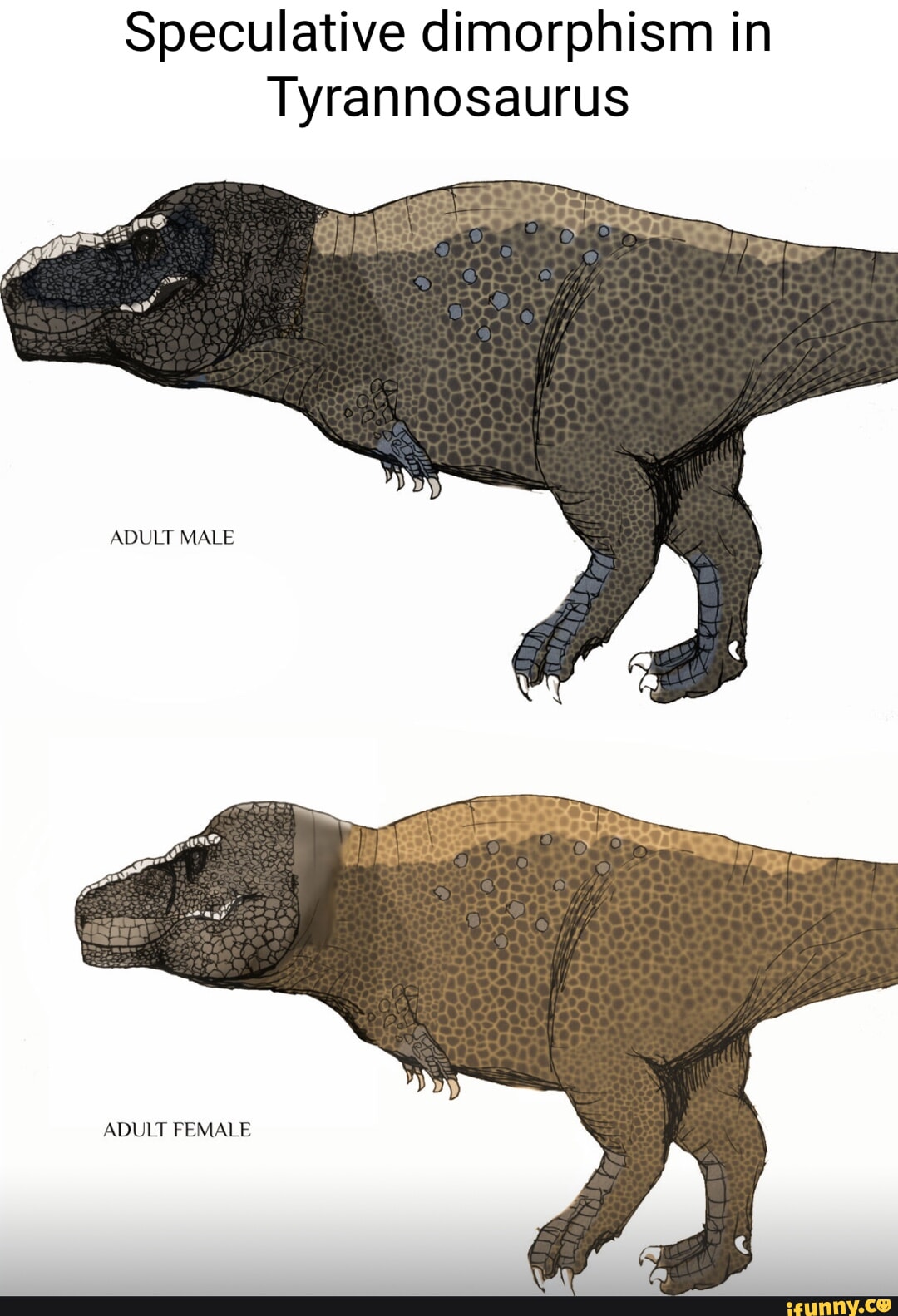 Her: I'm too thick to sit on your face, I'm afraid I'll hurt you Me ...