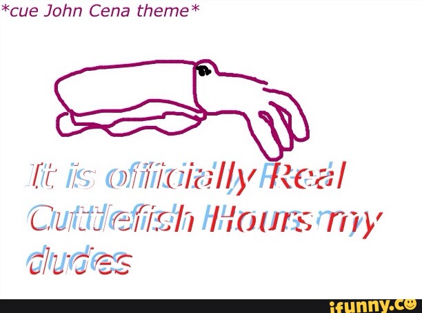 Cuttlefish memes. Best Collection of funny Cuttlefish pictures on iFunny