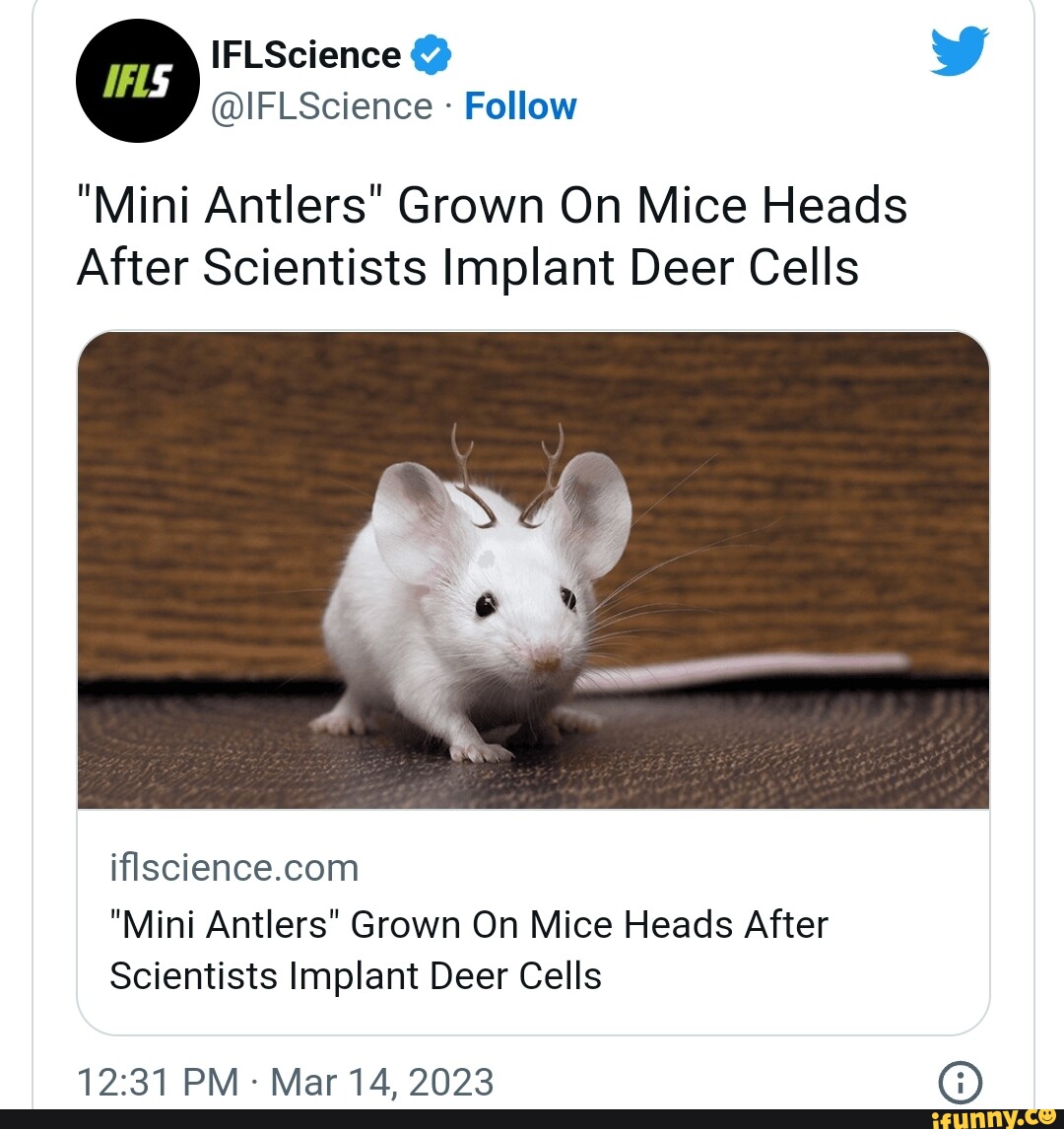 IFLScience @IFLScience Follow "Mini Antlers" Grown On Mice Heads After ...