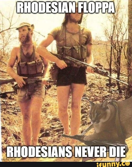 Makezimbabwerhodesiaagain memes. Best Collection of funny ...