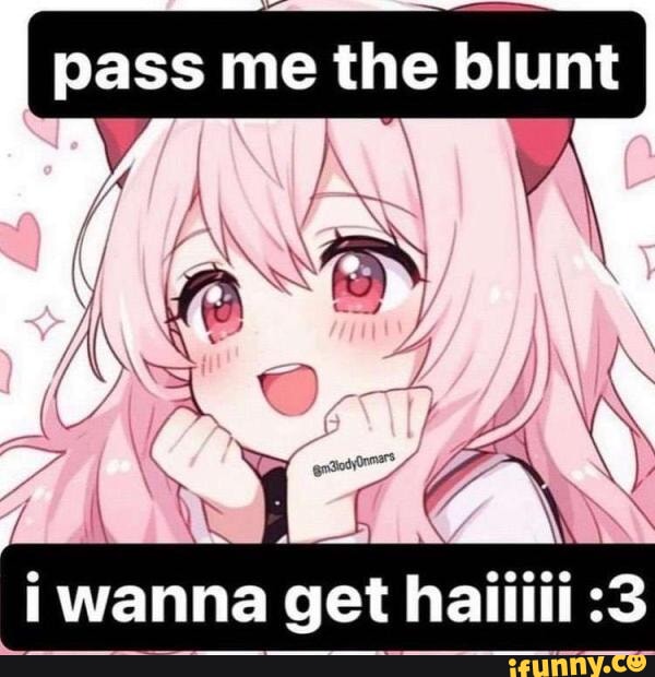 Haiiiii memes. Best Collection of funny Haiiiii pictures on iFunny