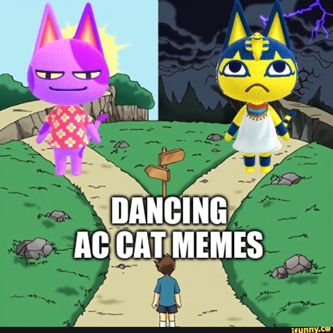 DANCING AC CAT MEMES - iFunny