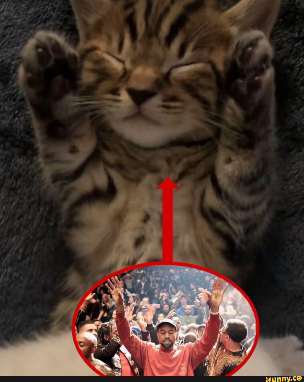 Collective memes. Best Collection of funny Collective pictures on iFunny