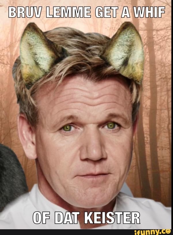 Keister memes. Best Collection of funny Keister pictures on iFunny