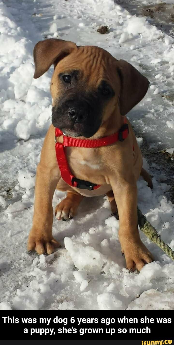 Cutw memes. Best Collection of funny Cutw pictures on iFunny