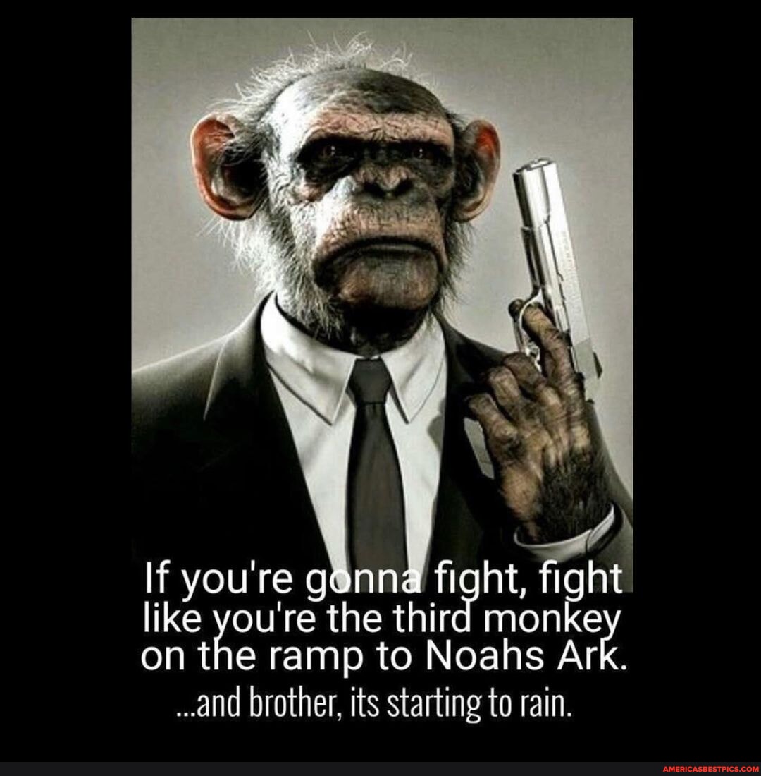 Happy sunday everyone 😎 meme dump for today - fight, fight like you're ...