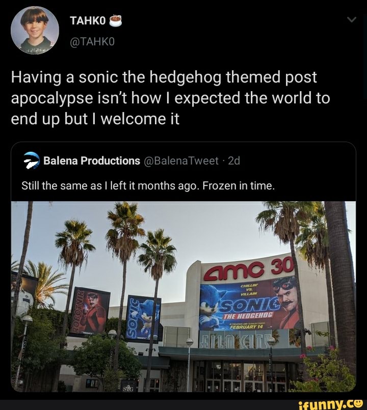 TAHKO Having a sonic the hedgehog themed post apocalypse isn't how I ...