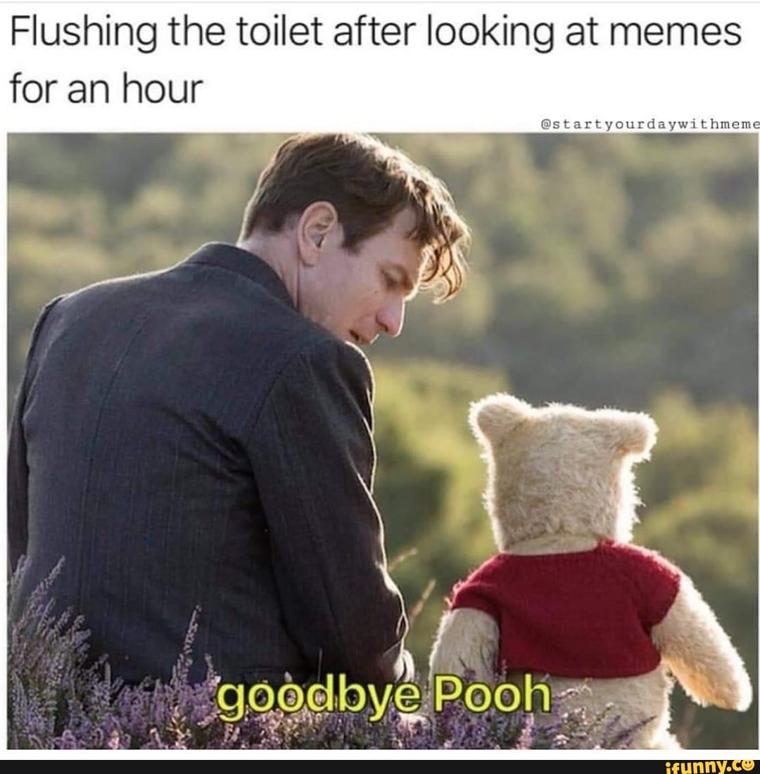 Flushing the toilet after looking at memes for an hour ...
