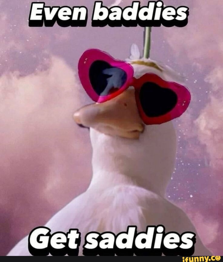 Baddies memes. Best Collection of funny Baddies pictures on iFunny