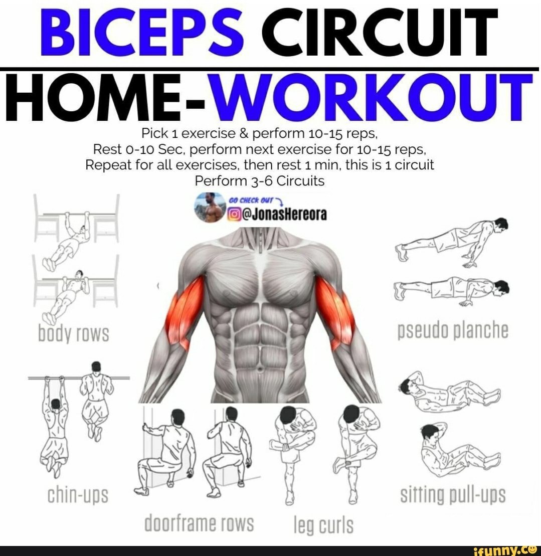BICEPS CIRCUIT HOME-WORKOUT Pick 1 exercise perform 10-15 reps, Rest 0 ...