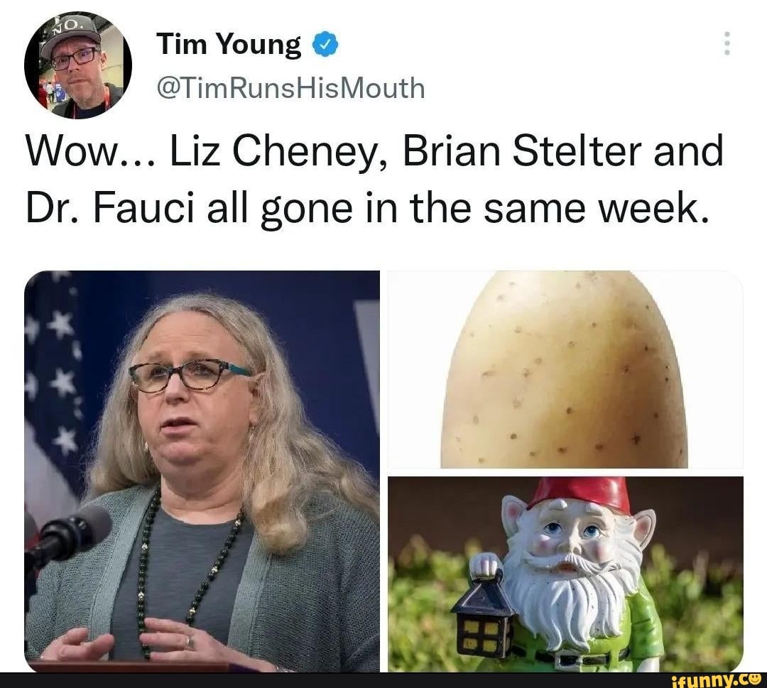 Tim Young @ @TimRunsHisMouth Wow... Liz Cheney, Brian Stelter and Dr ...