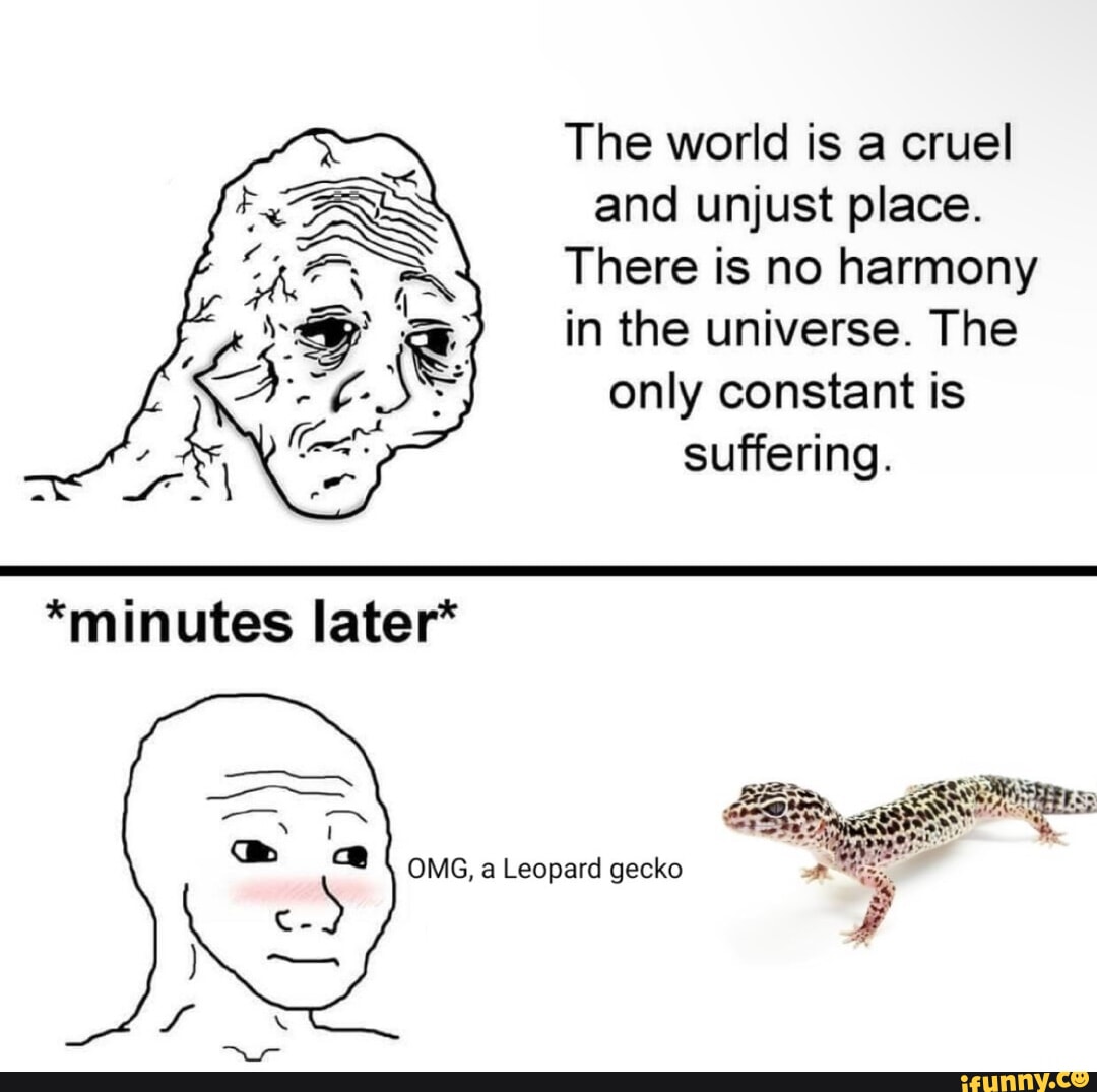 Gecko memes. Best Collection of funny Gecko pictures on iFunny