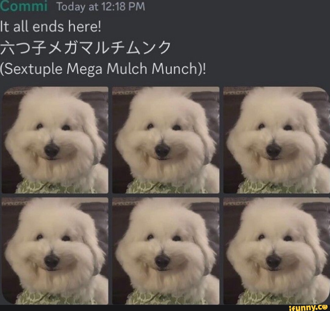Commi Today at PM It all ends here! (Sextuple Mega Mulch Munch)! I - iFunny