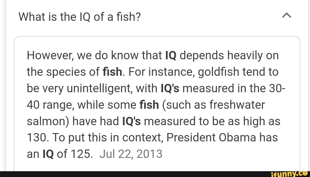 What is the IQ of fish? A However, we do know that IQ depends heavily ...