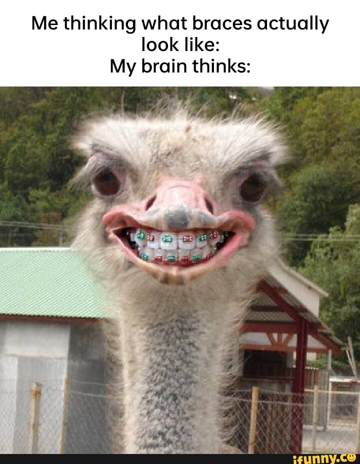 Braces memes. Best Collection of funny Braces pictures on iFunny