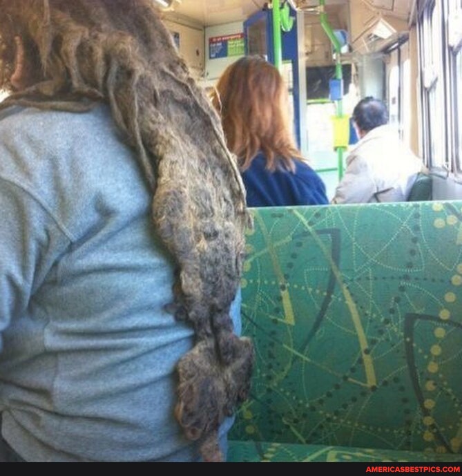 Cursed image + blessed slides - America’s best pics and videos