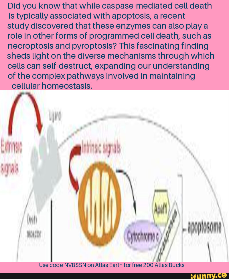 Enzymes memes. Best Collection of funny Enzymes pictures on iFunny