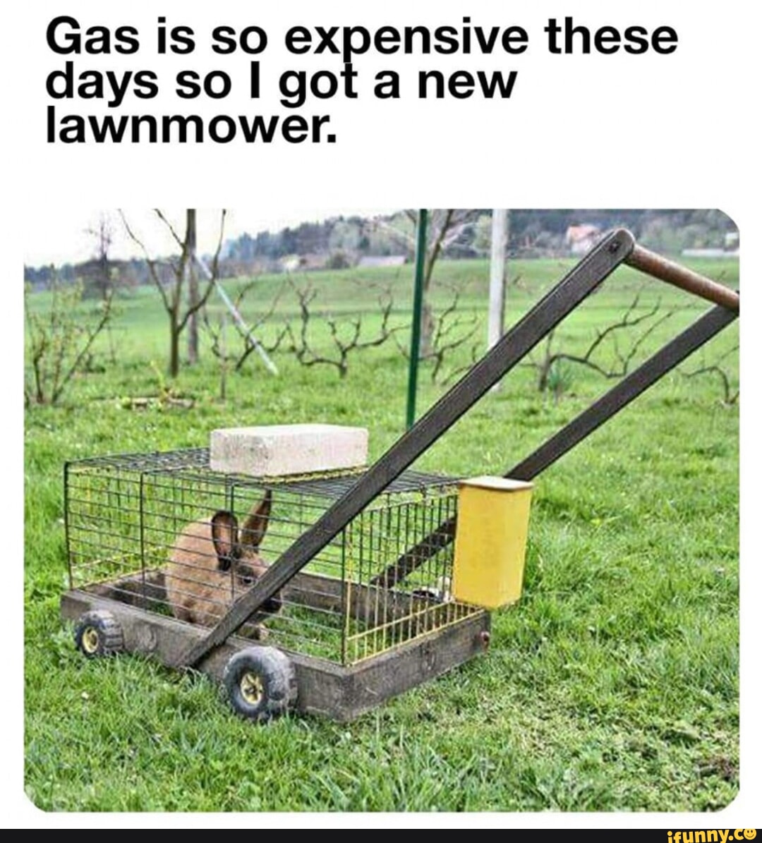 Lawnmower memes. Best Collection of funny Lawnmower pictures on iFunny
