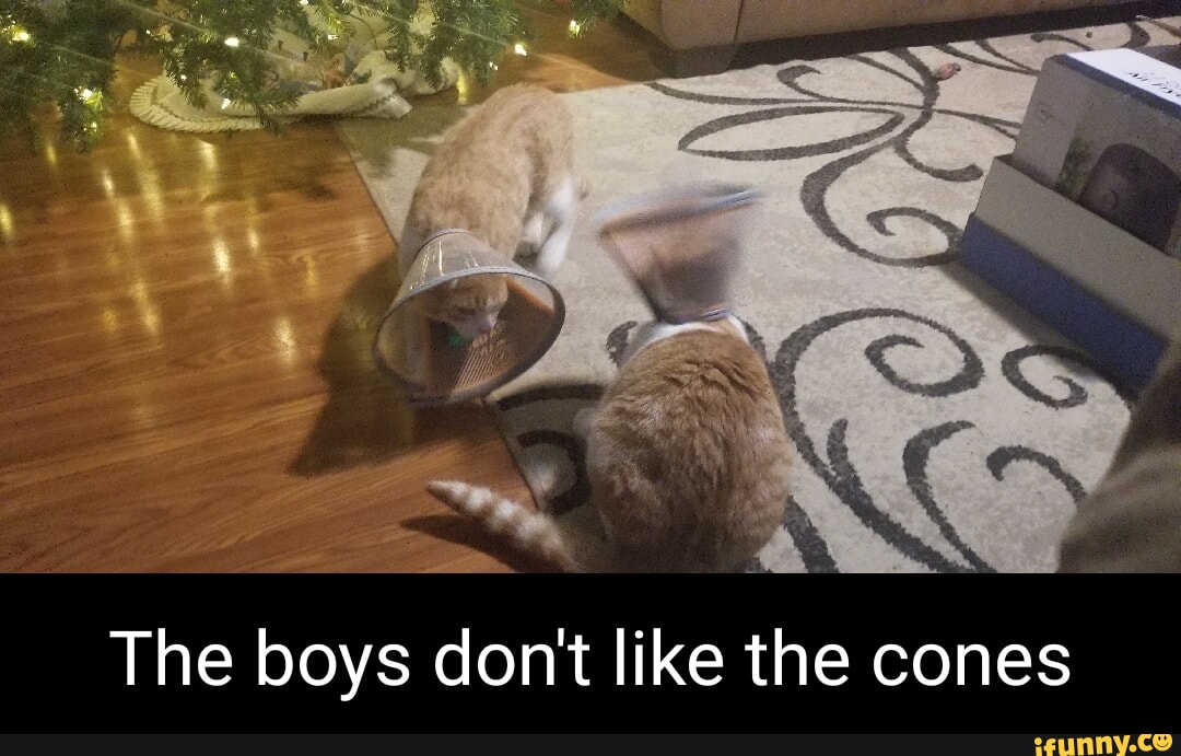 Snipped memes. Best Collection of funny Snipped pictures on iFunny