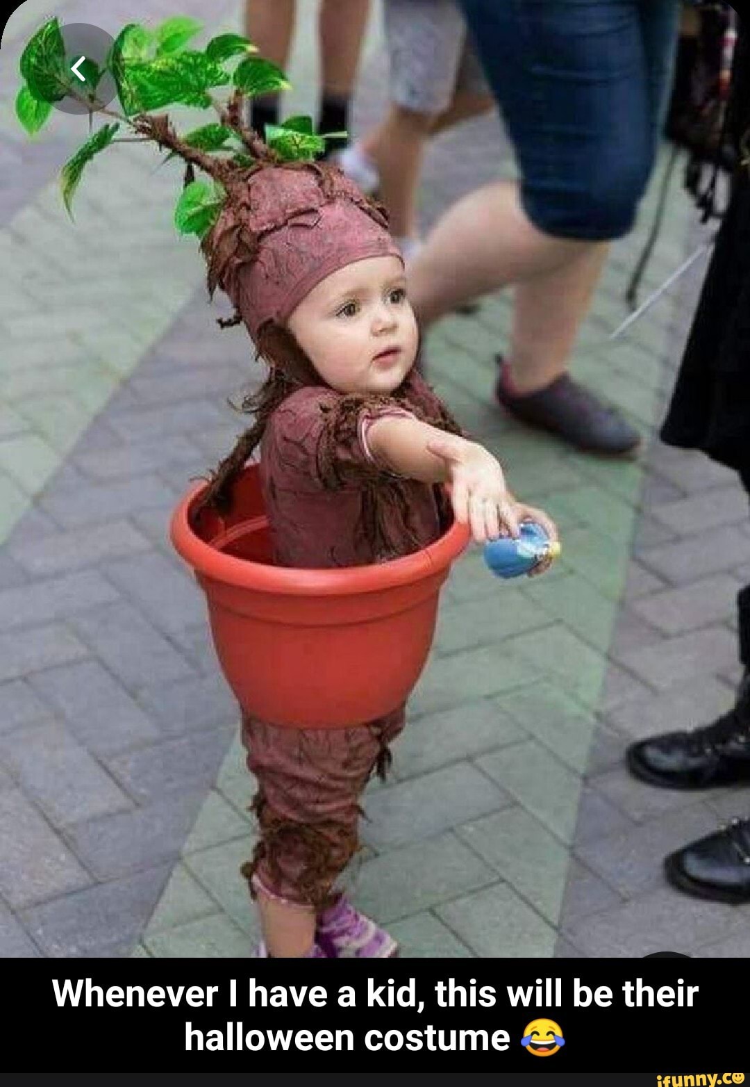 Mandrake memes. Best Collection of funny Mandrake pictures on iFunny