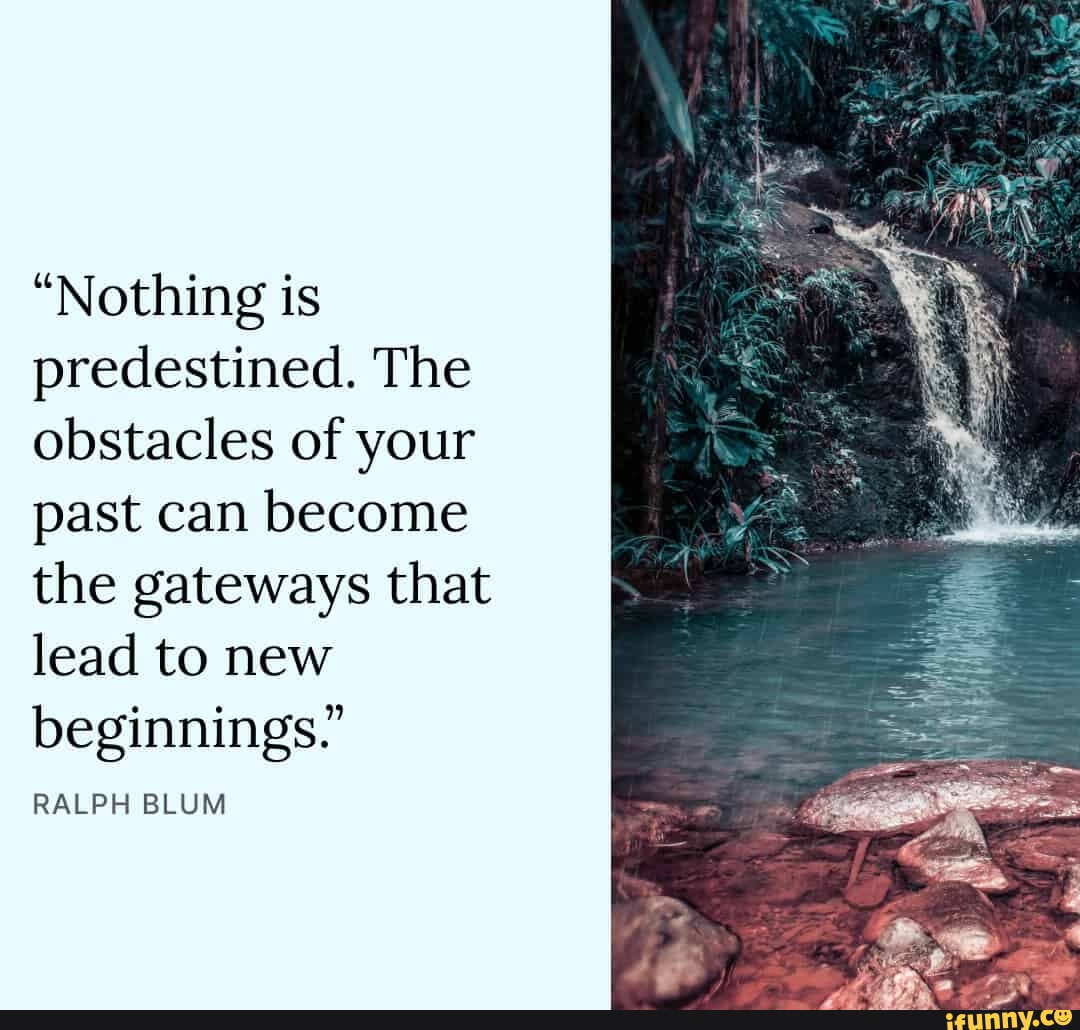 Blum memes. Best Collection of funny Blum pictures on iFunny